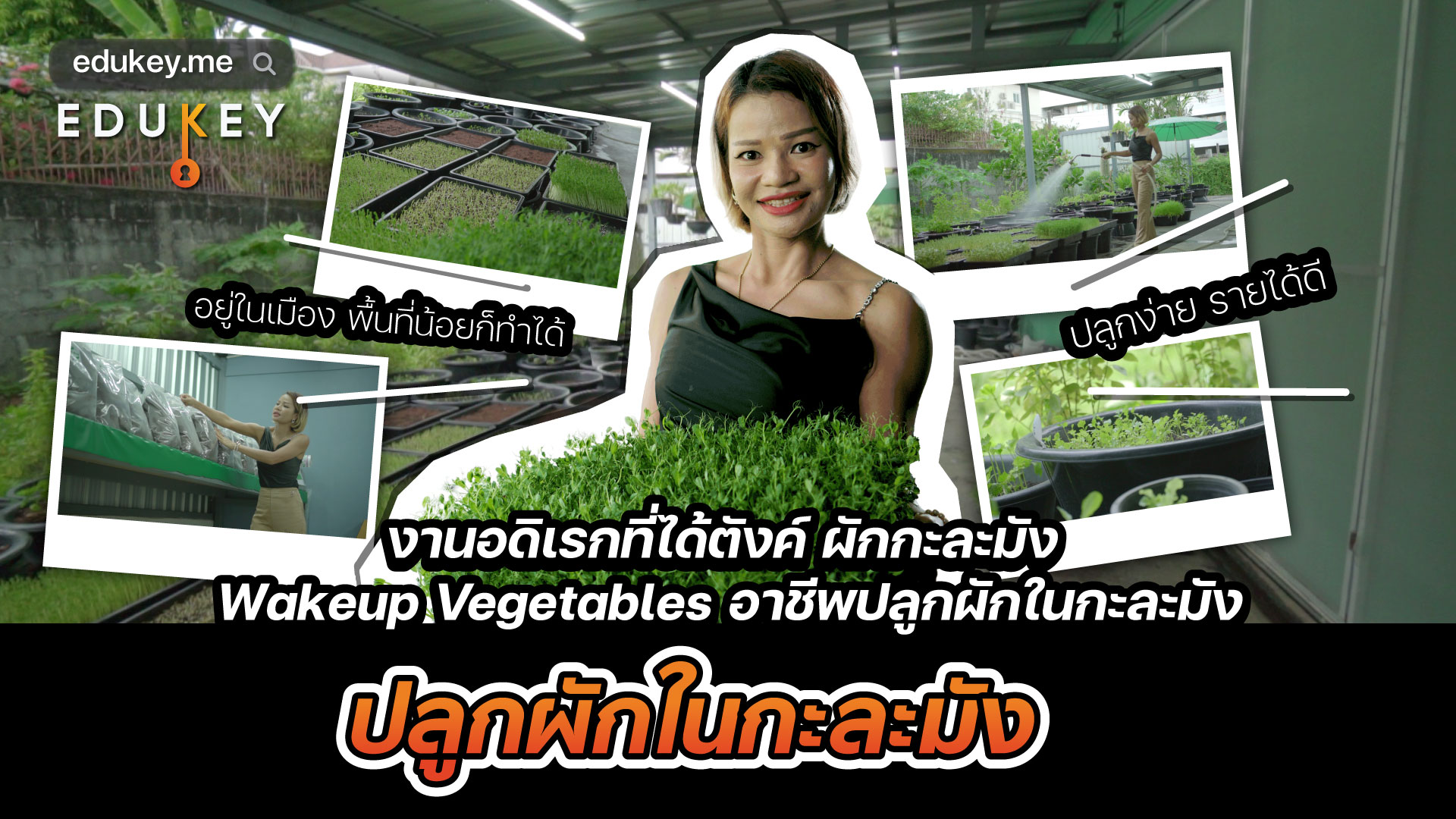 Edukey - งานอดิเรกที่ได้ตังค์ ผักกะละมัง Wakeup vegetables